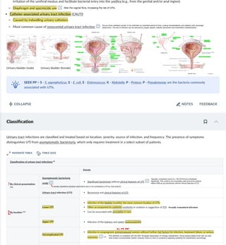 Urinary tract infections (UTI) - AMBOSS.pdf