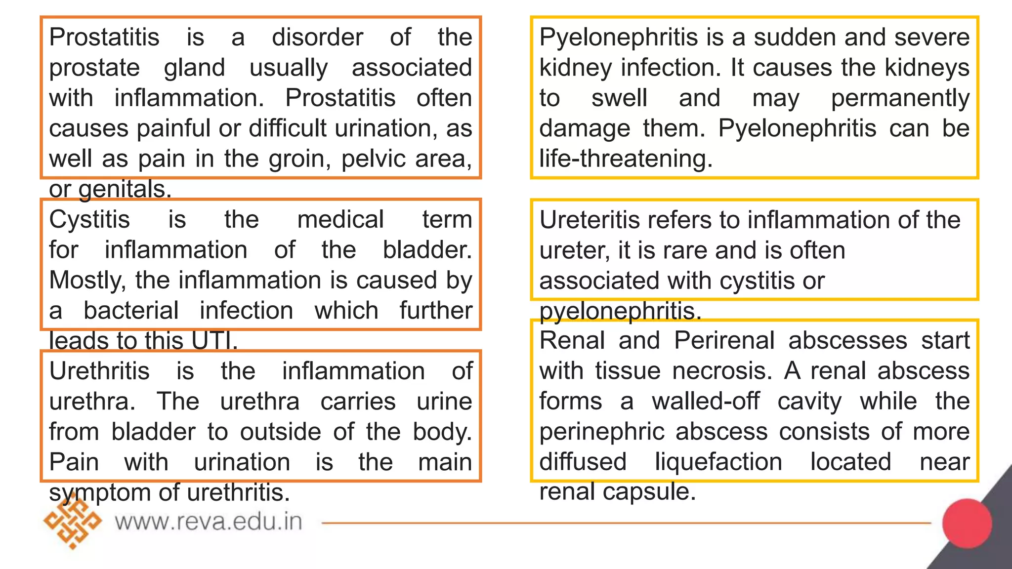 Urinary Tract Infections - Nishikant Bhojane.pptx | Sexual Conditions ...