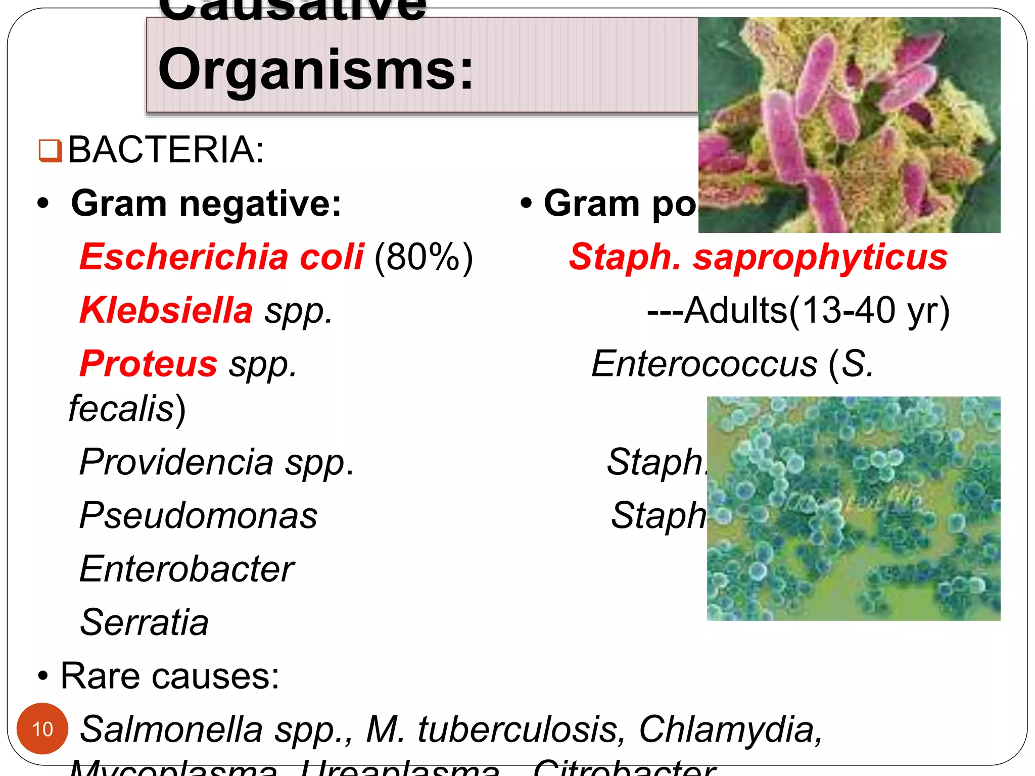 Urinary Tract Infections- Saral | PPTX
