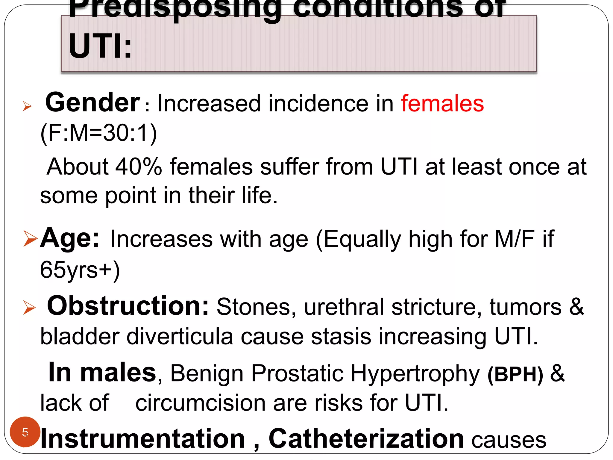 Urinary Tract Infections- Saral | PPTX