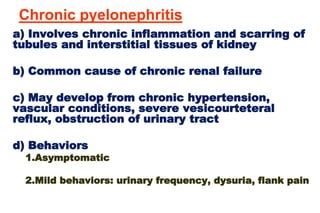 Urinary tract infections 2 | PPTX