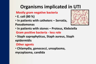 Urinary tract infections 2 | PPT