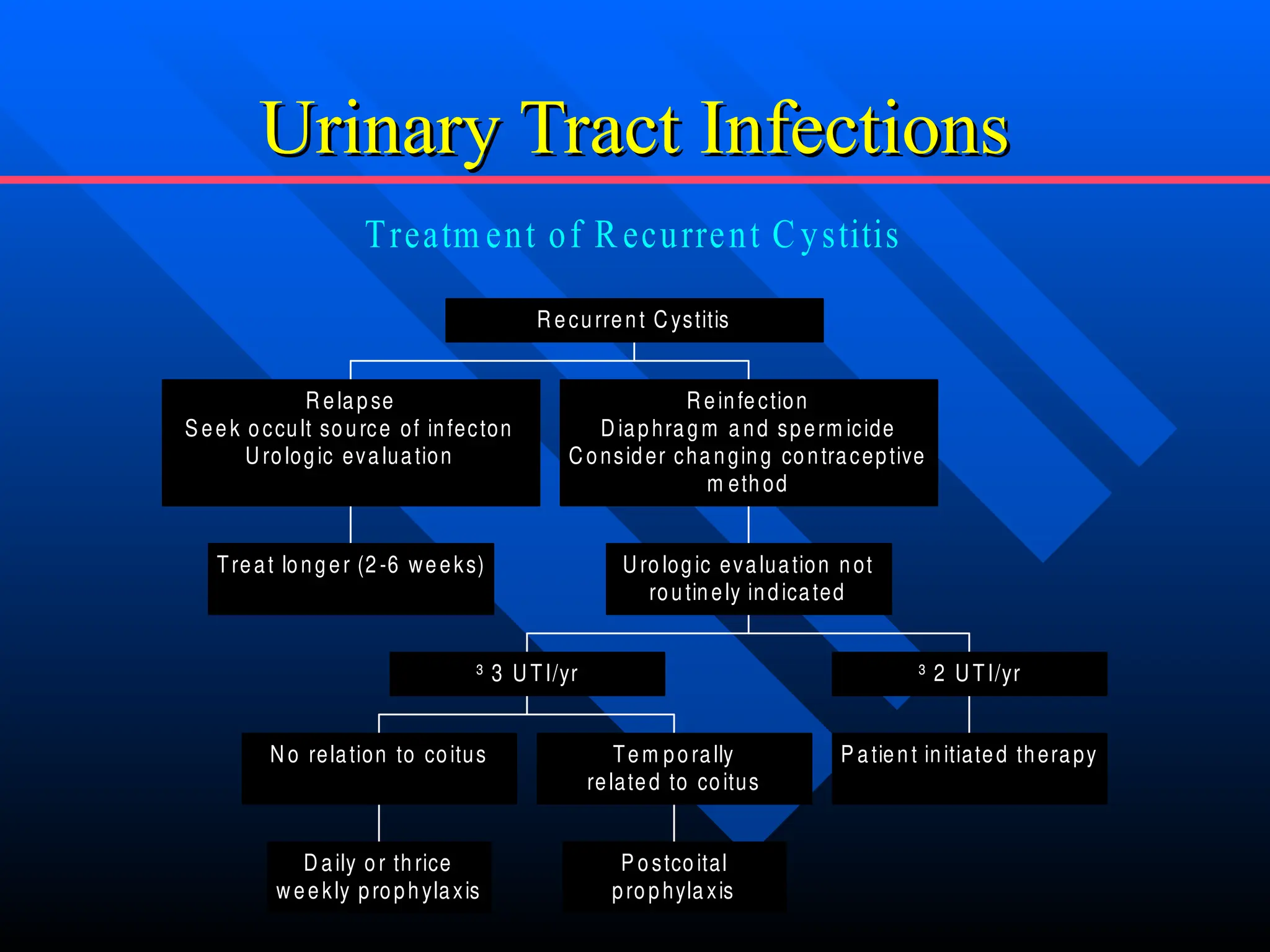URINARY TRACT INFECTIONS 82 SLIDES PRES.ppt