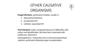 URINARY TRACT INFECTIONS in CHILDREN -Prevention & Management.pptx
