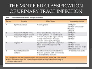 urinary tract infections in critical care | PPTX