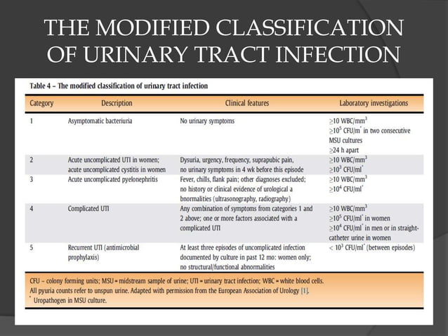 urinary tract infections in critical care | PPTX