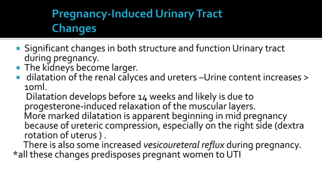 Urinary tract infections in obs & gynae | PPTX | Infectious Diseases ...
