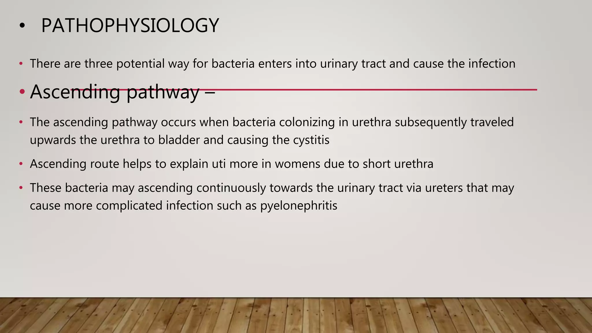 Urinary tract infection special | PPTX