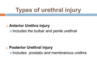 Urinary tract injury (kidney injury) | PPTX