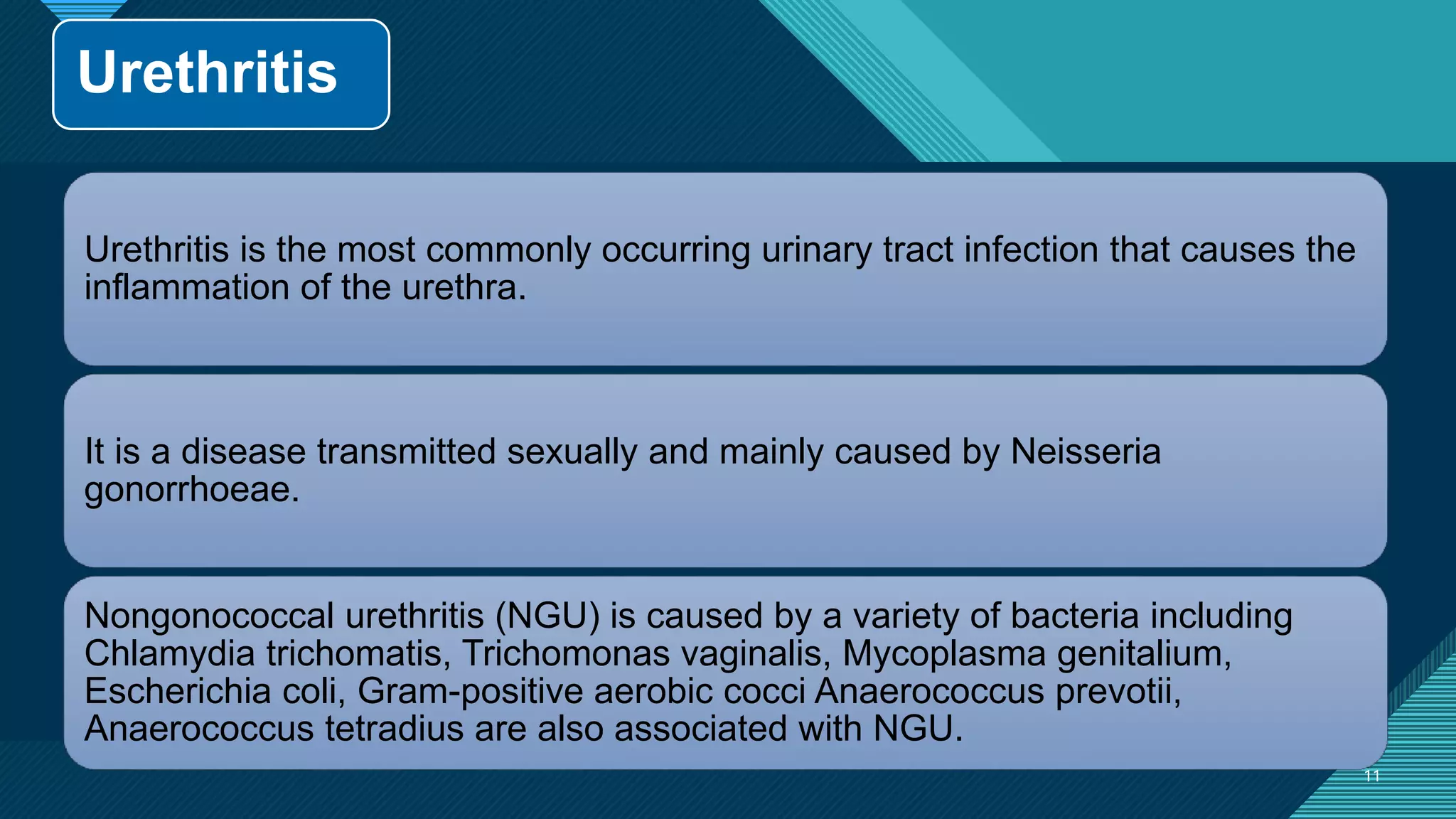 urinary tract MICROBIOME.pptx