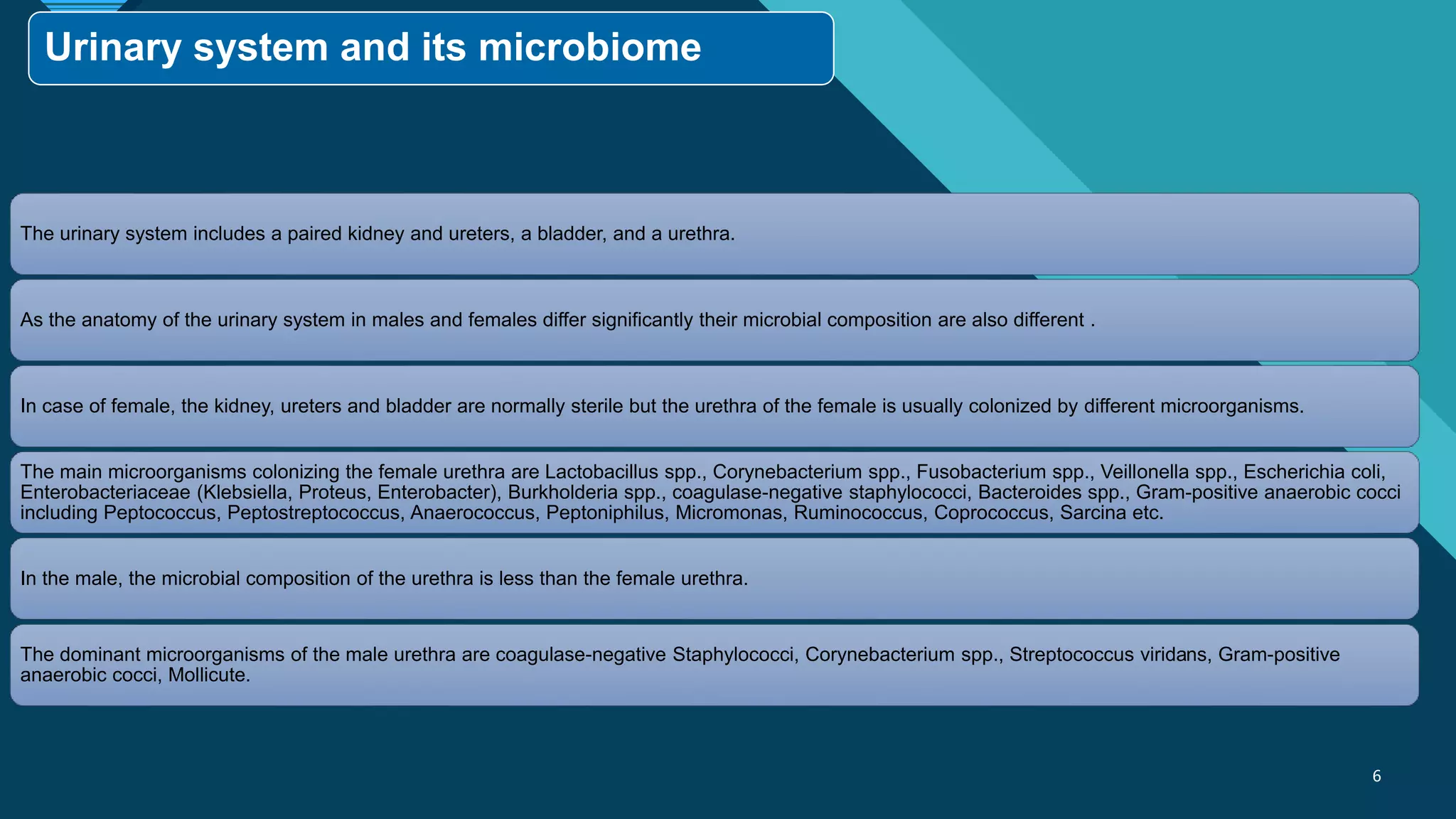 urinary tract MICROBIOME.pptx