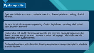 urinary tract MICROBIOME.pptx