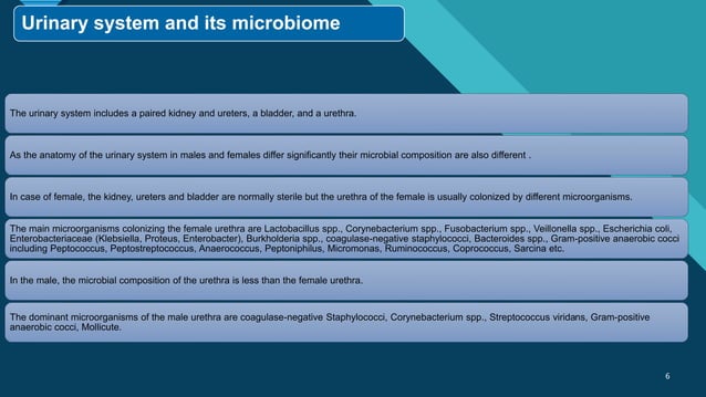 urinary tract MICROBIOME.pptx
