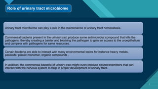 urinary tract MICROBIOME.pptx
