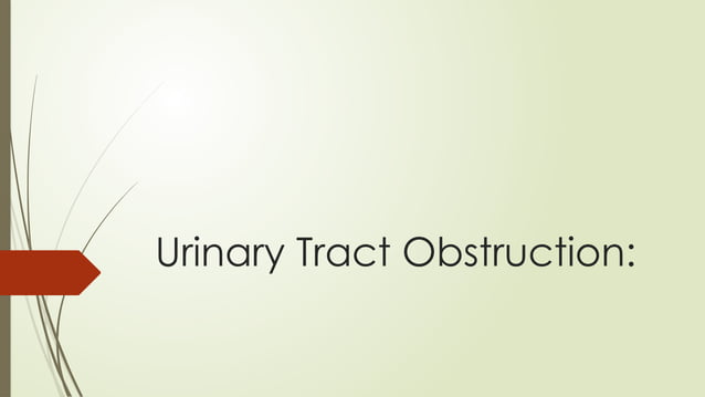 Urinary Tract Obstruction in patientspptx | PPTX