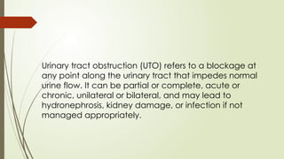 Urinary Tract Obstruction in patientspptx | PPTX