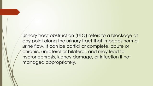 Urinary Tract Obstruction in patientspptx | PPTX