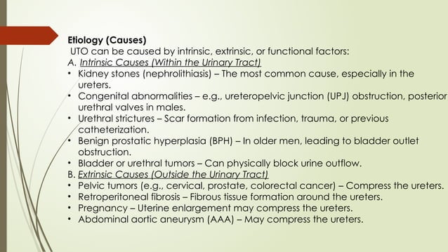 Urinary Tract Obstruction in patientspptx | PPTX