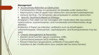 Urinary Tract Obstruction in patientspptx | PPTX