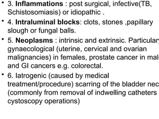 URINARY TRACT OBSTRUCTION in the kidney of a human being.pptx