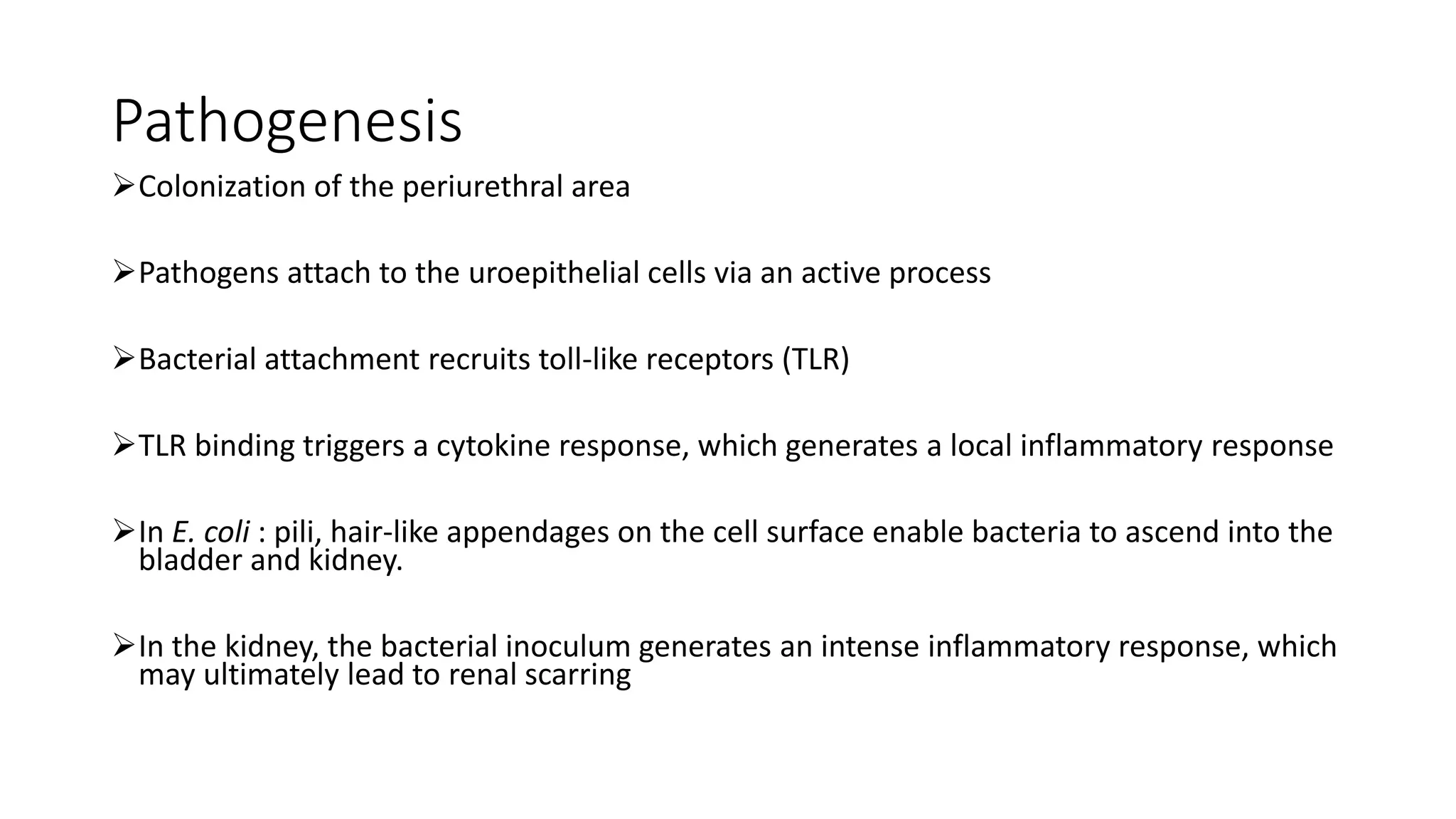 Urinary tracts infections in pediatrics (UTI) | PPTX