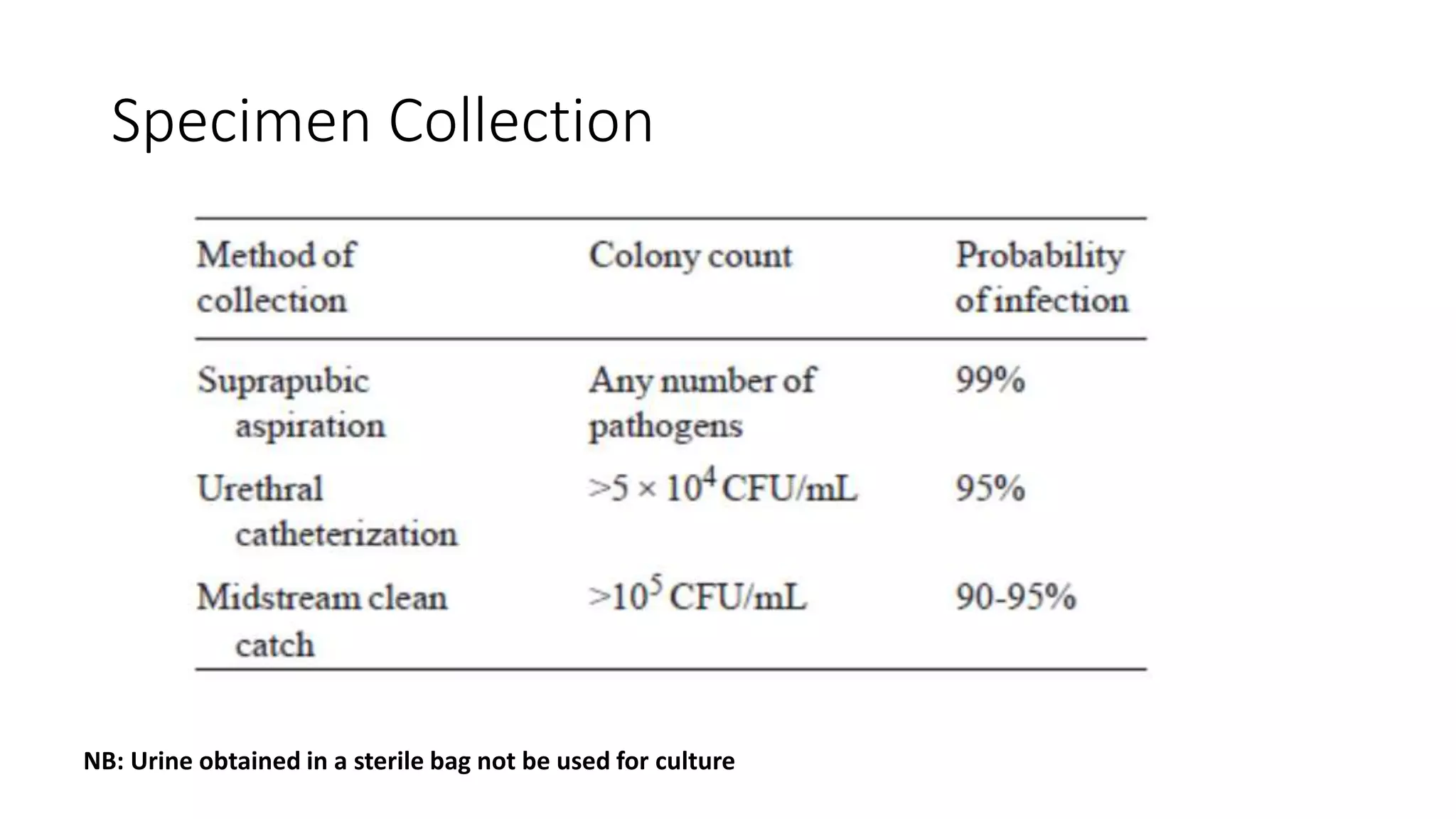 Urinary tracts infections in pediatrics (UTI) | PPTX