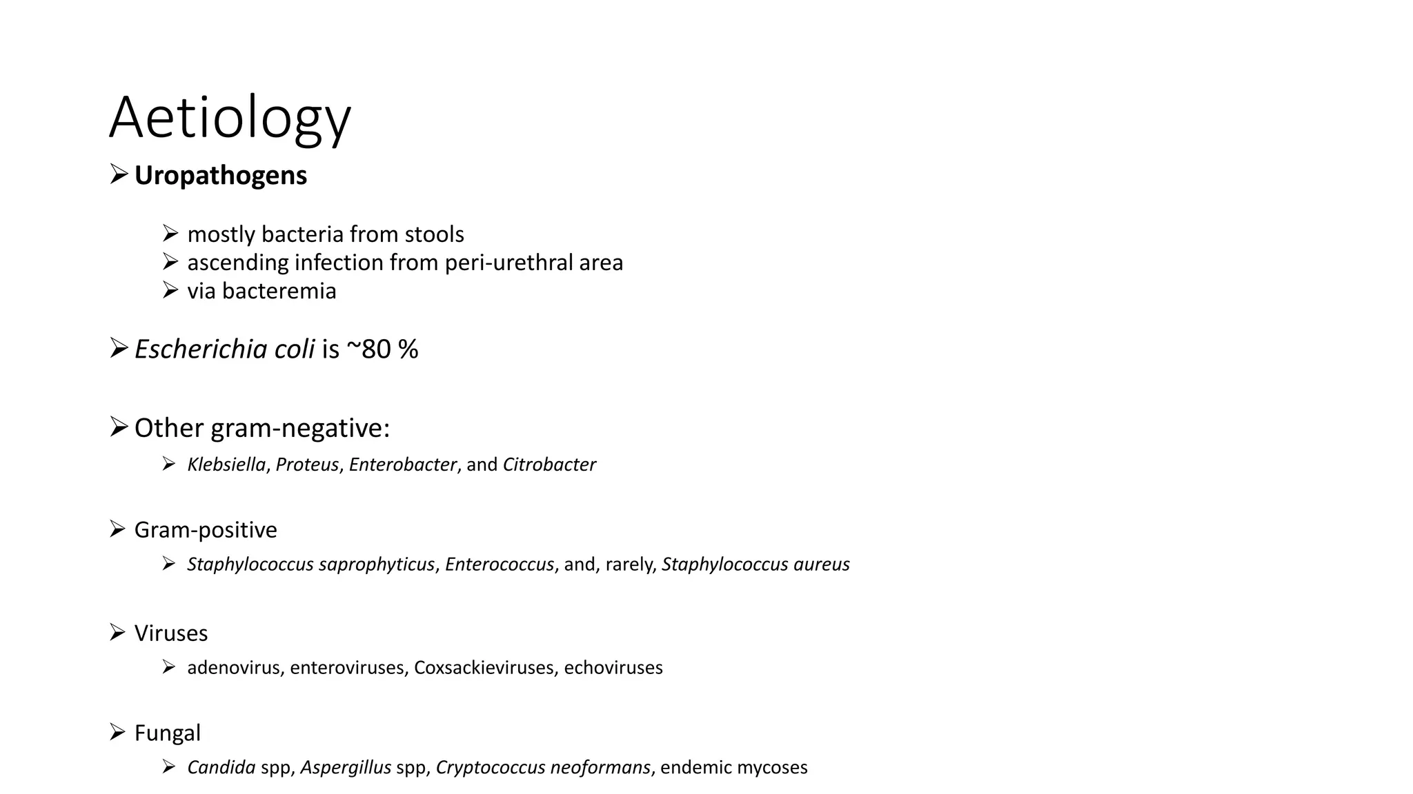 Urinary tracts infections in pediatrics (UTI) | PPTX