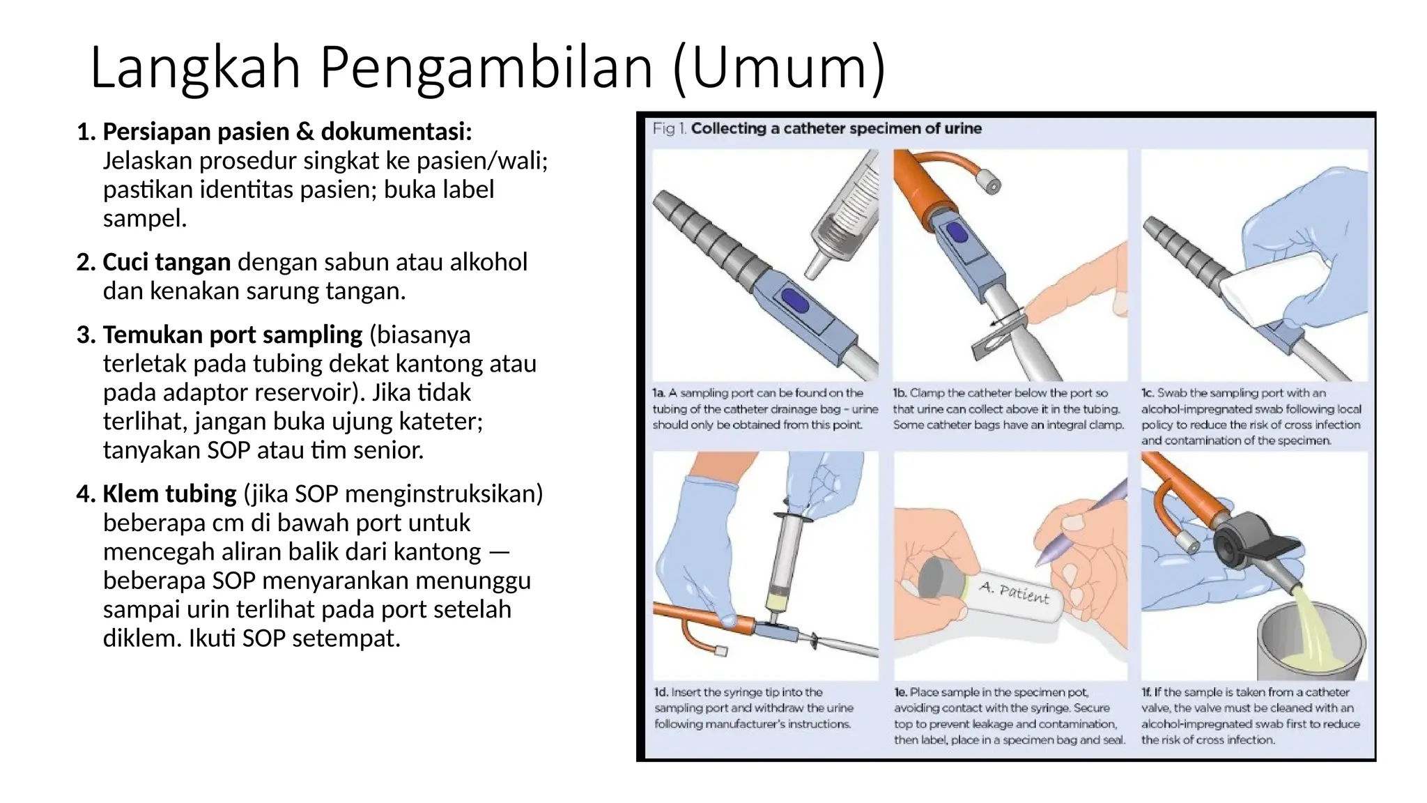 Cara Pengambilan Sampel Urin dari Kateter.pptx