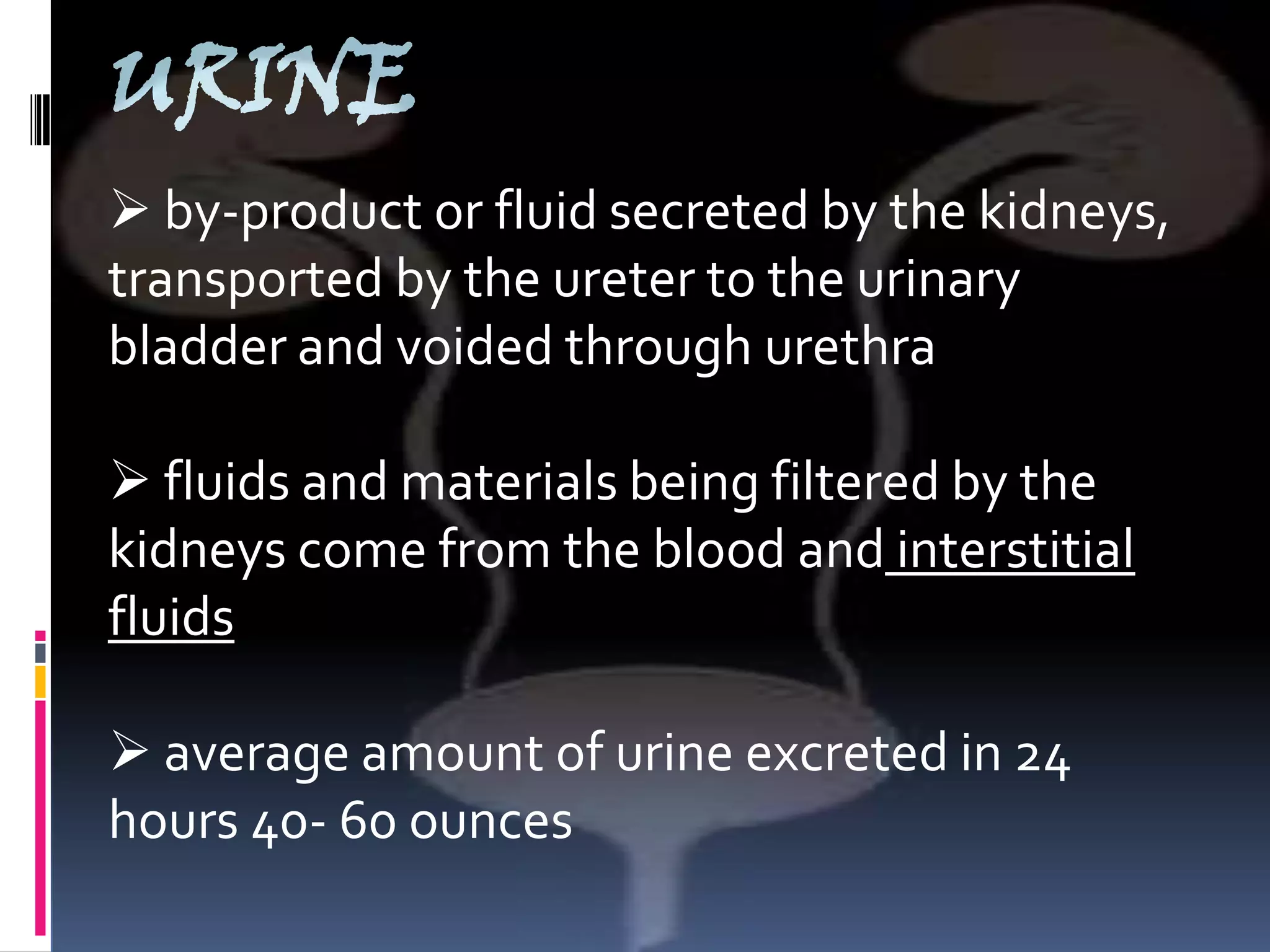 Urine | PPTX