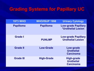 Urine.cytology | PPT