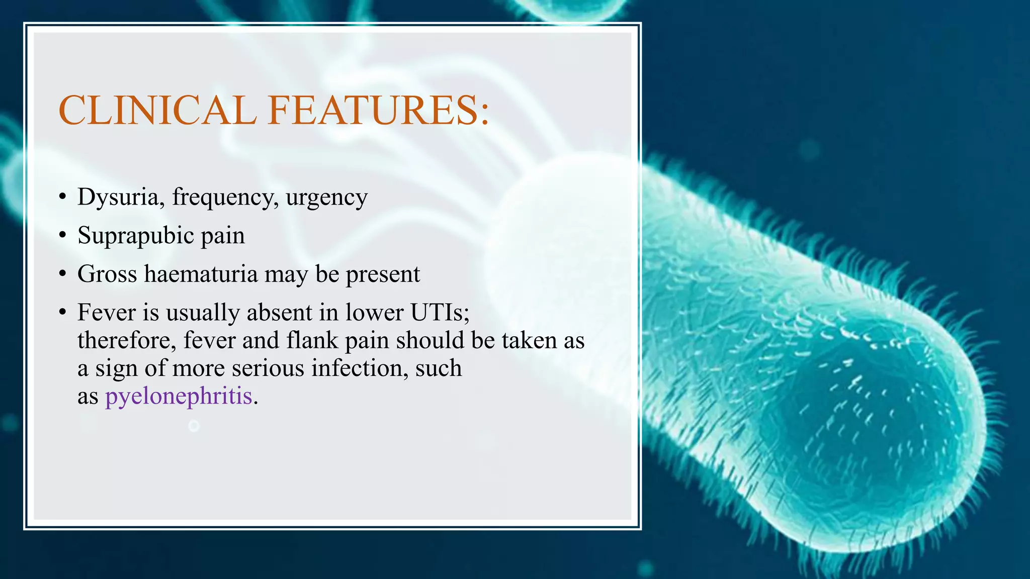 Urinary Tract Infections | PPTX
