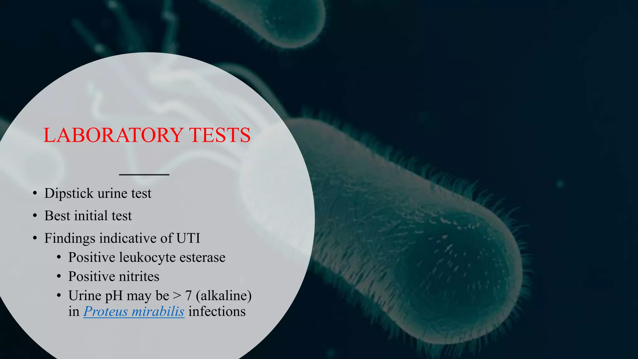 Urinary Tract Infections | PPTX