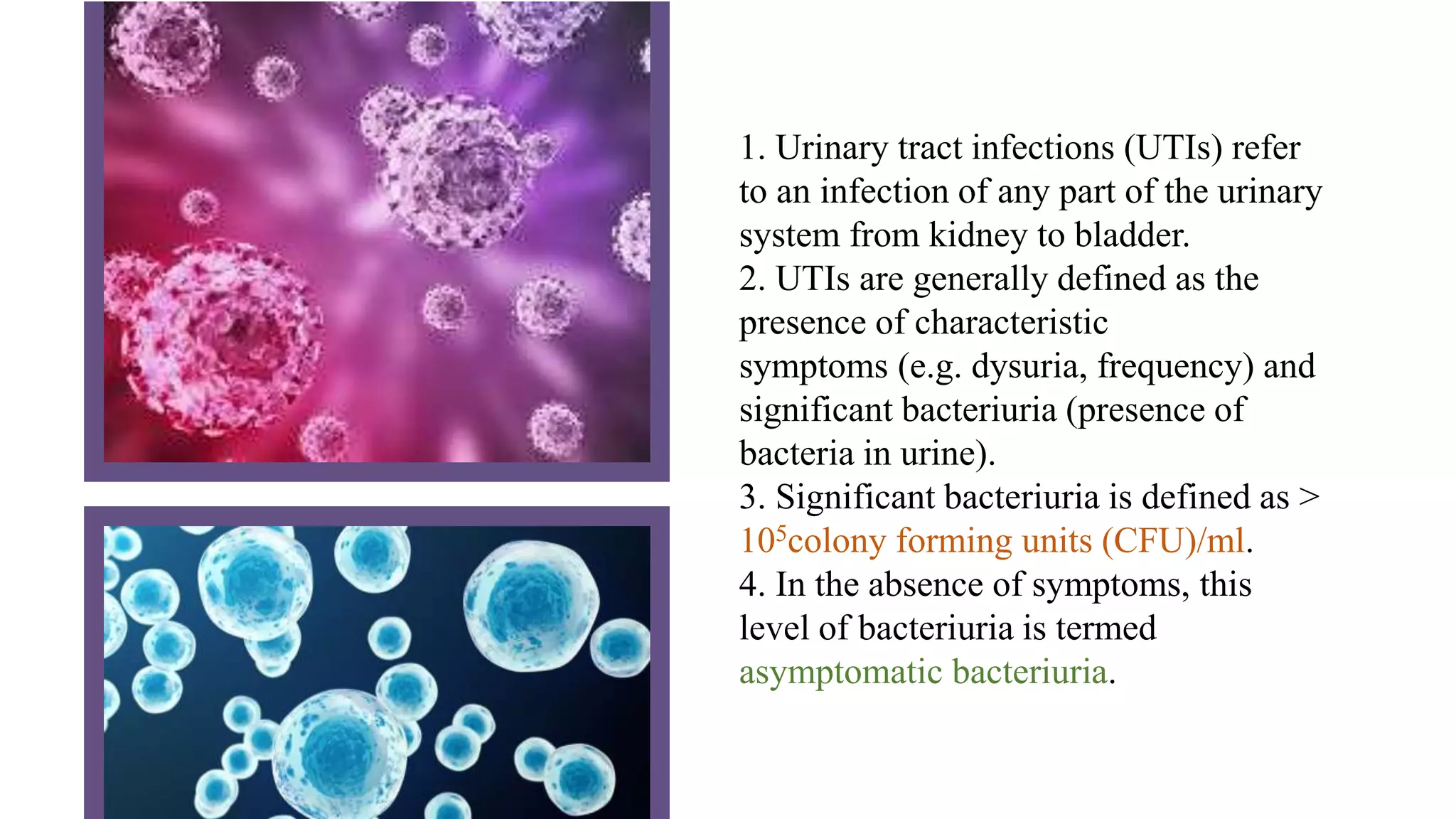 Urinary Tract Infections | PPTX
