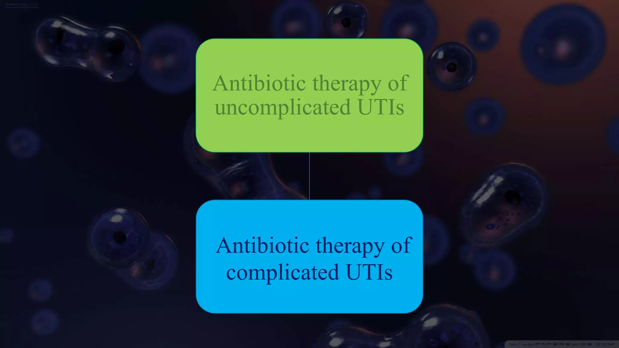 Urinary Tract Infections Ppt