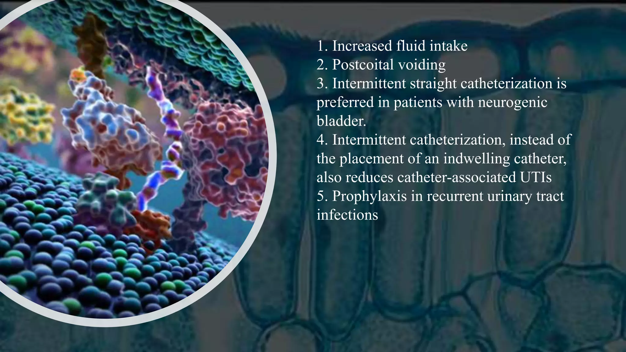Urinary Tract Infections | PPTX