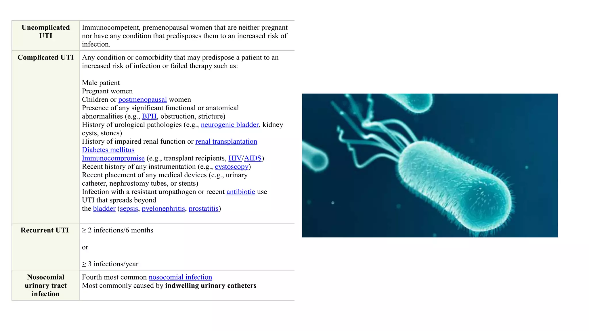 Urinary Tract Infections | PPTX