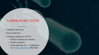 Urinary Tract Infections | PPTX