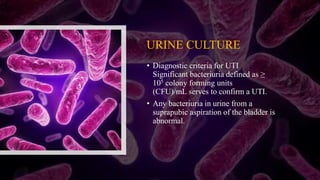 Urinary Tract Infections | PPTX