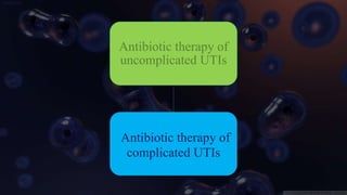 Urinary Tract Infections | PPTX