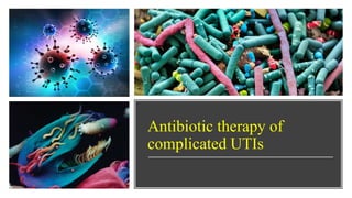 Urinary Tract Infections | PPTX