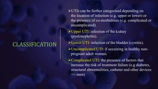 Urinary Tract Infections | PPTX