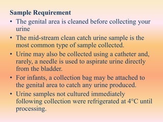 Microbiological examination of urine sample | PPTX