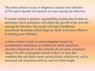 Microbiological examination of urine sample | PPTX