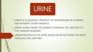 Urine and its tests | PPTX
