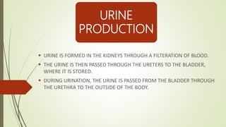 Urine and its tests | PPTX