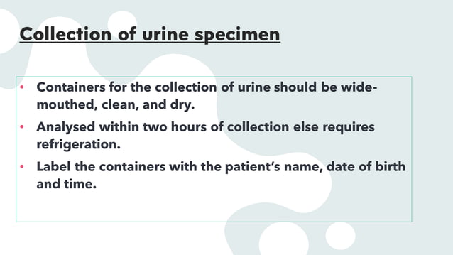 Urine.pdf