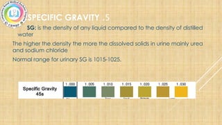 UrineUrine sample collection and examination .pptx