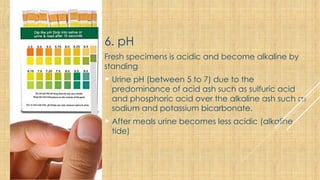 UrineUrine sample collection and examination .pptx