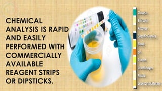 UrineUrine sample collection and examination .pptx