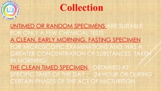 UrineUrine sample collection and examination .pptx